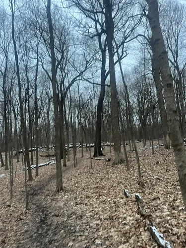 Best Hikes and Trails in Gilbert Park | AllTrails