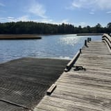 Cedar Point Tideland Trail, North Carolina - 699 Reviews, Map | AllTrails