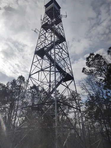 Best Hikes and Trails in Long Cane Scenic Area | AllTrails