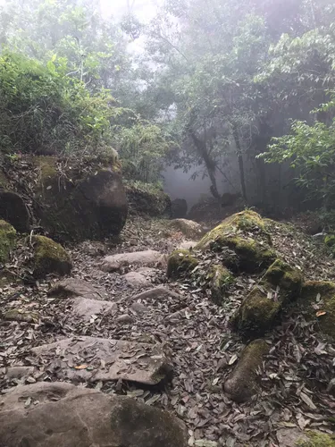 Best Hikes and Trails in Chirripo National Park | AllTrails