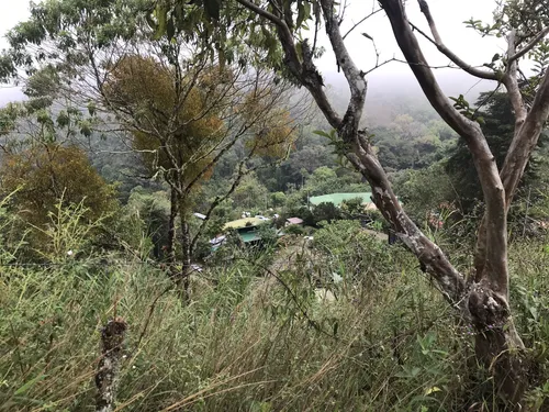 Best Hikes and Trails in Chirripo National Park | AllTrails