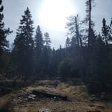 Jenks Lake Trail, California - 903 Reviews, Map | AllTrails