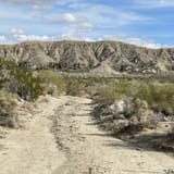 Hidden Horseshoe and Pushwalla Palms Trail, California - 250 Reviews ...