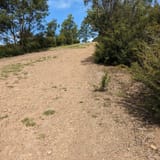 Mount Lofty Loop, Victoria, Australia - 988 Reviews, Map | AllTrails