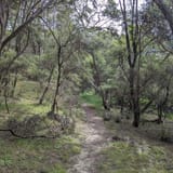 Mount Lofty Loop, Victoria, Australia - 988 Reviews, Map | AllTrails