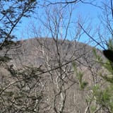 Chestnut Ridge Heritage Preserve Trail, South Carolina - 1,412 Reviews ...