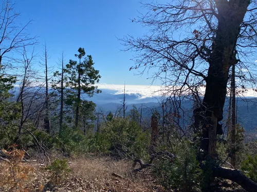 10 Best Trails and Hikes in Oakhurst | AllTrails