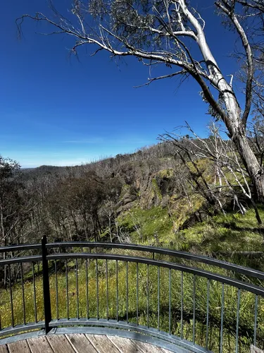 10 Best Hikes and Trails in Alpine National Park | AllTrails