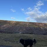 Manchester Pond, Massachusetts - 272 Reviews, Map | AllTrails