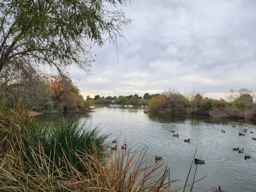 Best Hikes and Trails in Gilbert Riparian Preserve | AllTrails