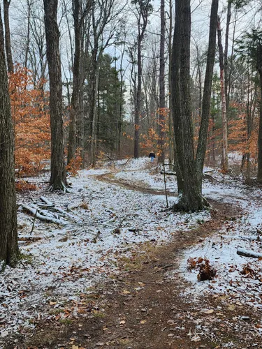 Best Hikes and Trails in Point Beach State Forest | AllTrails