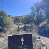 Skyline Drive Trail, Texas - 551 Reviews, Map | AllTrails