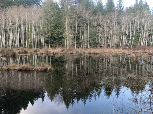 Best Hikes and Trails in Port Ludlow | AllTrails