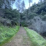 Old Flume Trail (Red Shack Trail), California - 778 Reviews, Map ...