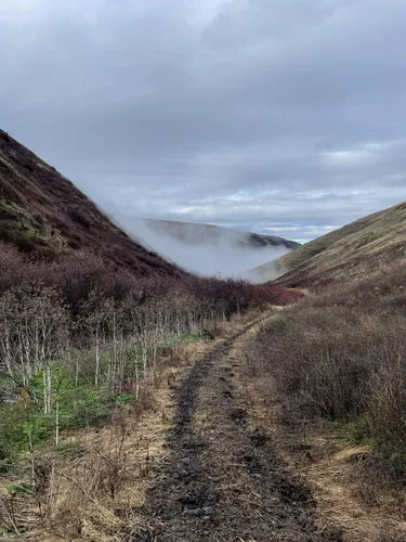 Best Hikes and Trails in Redbird Canyon Wildlife Management Area ...