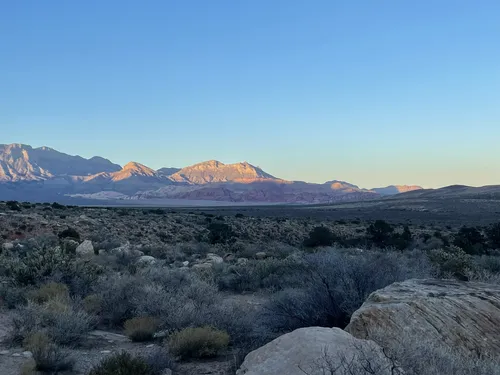 Best Hikes and Trails in Spring Mountain Ranch State Park | AllTrails