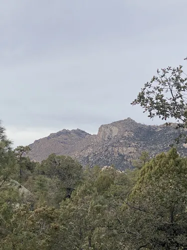 Best Off Road Driving Trails in Prescott National Forest | AllTrails