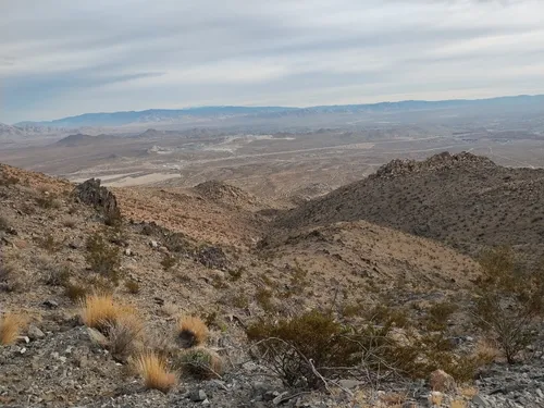 Best Hikes and Trails in Oro Grande | AllTrails