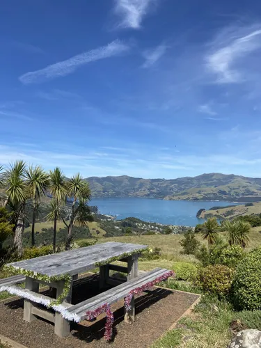 Best Hikes and Trails in Akaroa Heritage Park | AllTrails