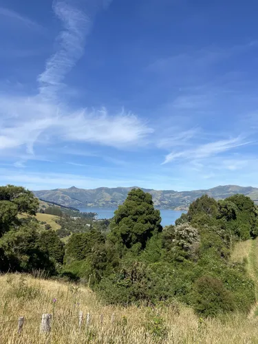 Best Hikes and Trails in Akaroa Heritage Park | AllTrails