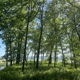 Fults Hill Prairie Nature Preserve Trail, Illinois - 241 Reviews, Map ...