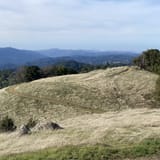 Hickory Oak Ridge Trail Loop, California - 232 Reviews, Map | AllTrails