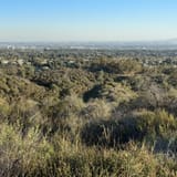 Runyon Canyon Trail, California - 8,268 Reviews, Map | AllTrails