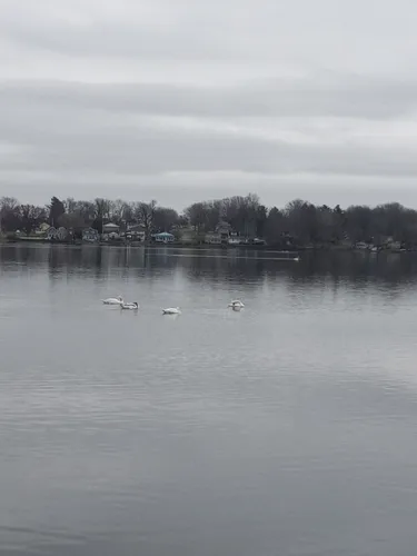 Best Bird Watching Trails in Braddock Bay Park | AllTrails