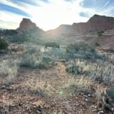 Haynes Ridge and Upper North Prong Trail Loop, Texas - 766 Reviews, Map ...