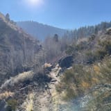 Hunter Creek Trail, Nevada - 4,265 Reviews, Map | AllTrails