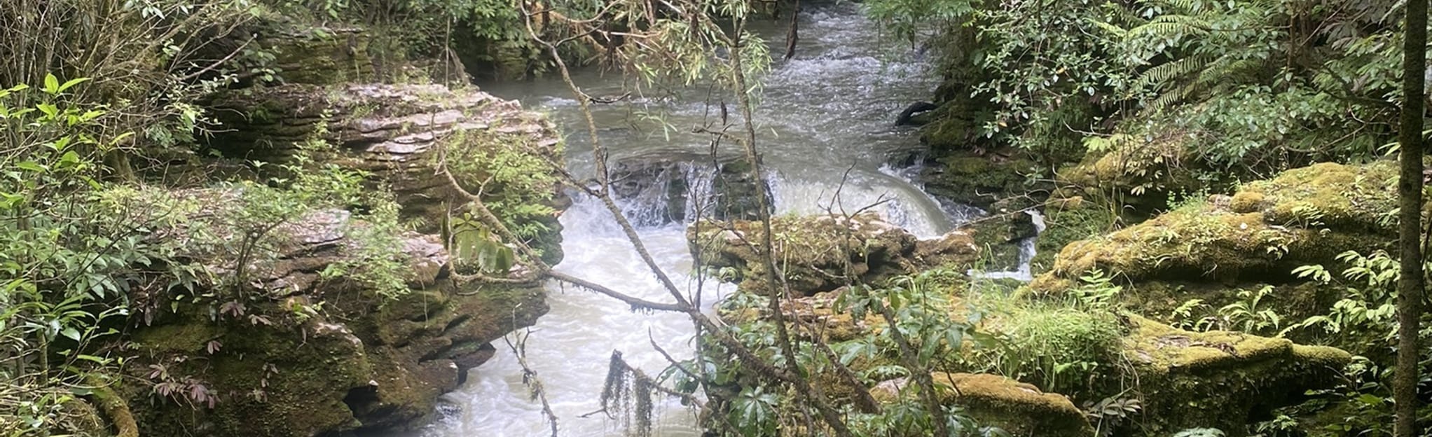 Waitomo Walkway, Waikato, New Zealand - 58 Reviews, Map | AllTrails