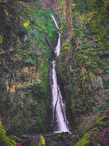 Best Hikes and Trails in Cascadia State Park | AllTrails