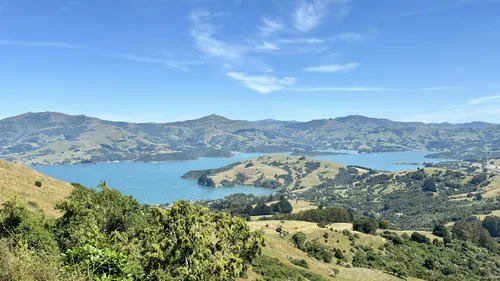 10 Best Trails and Hikes in Akaroa | AllTrails