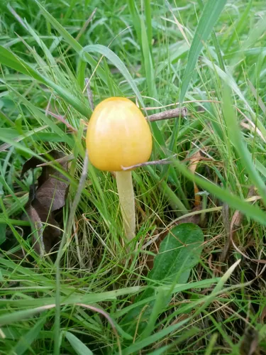 Best Hikes and Trails in Ragle Ranch Regional Park | AllTrails