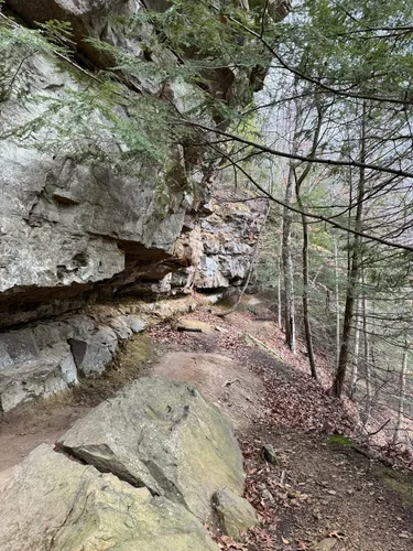Best Hikes and Trails in Green's Bluff Nature Preserve | AllTrails