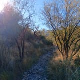 Second Water and Hackberry Spring Loop, Arizona - 1,873 Reviews, Map ...