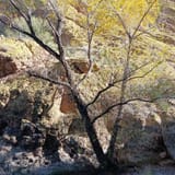 Second Water and Hackberry Spring Loop, Arizona - 1,873 Reviews, Map ...