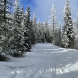 Mount Kit Carson Trail, Washington - 928 Reviews, Map | AllTrails