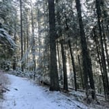 Mount Kit Carson Trail, Washington - 928 Reviews, Map | AllTrails