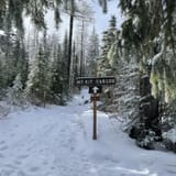 Mount Kit Carson Trail, Washington - 928 Reviews, Map | AllTrails