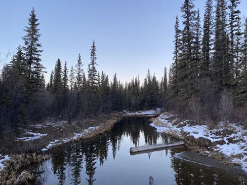 Best Hikes and Trails in Griffith Woods Park | AllTrails