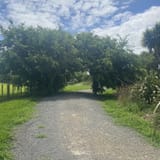 Lake Rotokauri Walk, Waikato, New Zealand - 16 Reviews, Map | AllTrails