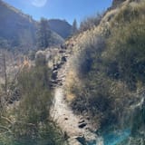 Hunter Creek Trail, Nevada - 4,265 Reviews, Map | AllTrails