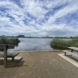 Lake Rotokauri Walk, Waikato, New Zealand - 16 Reviews, Map | AllTrails