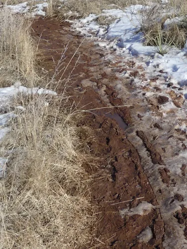 Best Hikes and Trails in Sandstone Ranch Open Space | AllTrails