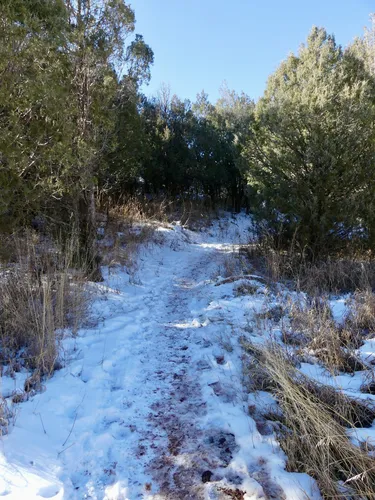 Best Hikes and Trails in Sandstone Ranch Open Space | AllTrails