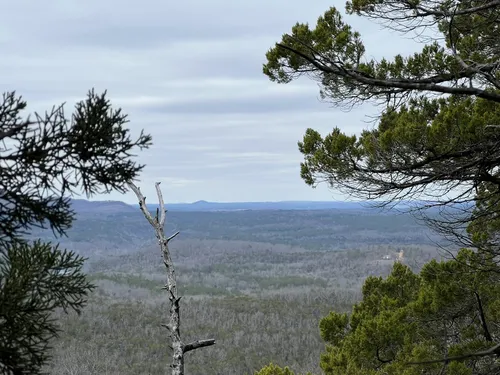 Best Hikes and Trails in Devil's Knob-Devil's Backbone Natural Area ...