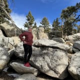 Desert View Trail, California - 1,391 Reviews, Map | AllTrails