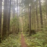 Duckabush River Trail to Five Mile Camp, Washington - 804 Reviews, Map ...