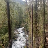 Duckabush River Trail to Five Mile Camp, Washington - 804 Reviews, Map ...